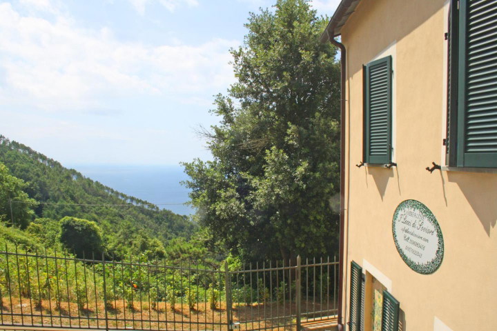 I Lecci Di Soviore - Monterosso al Mare