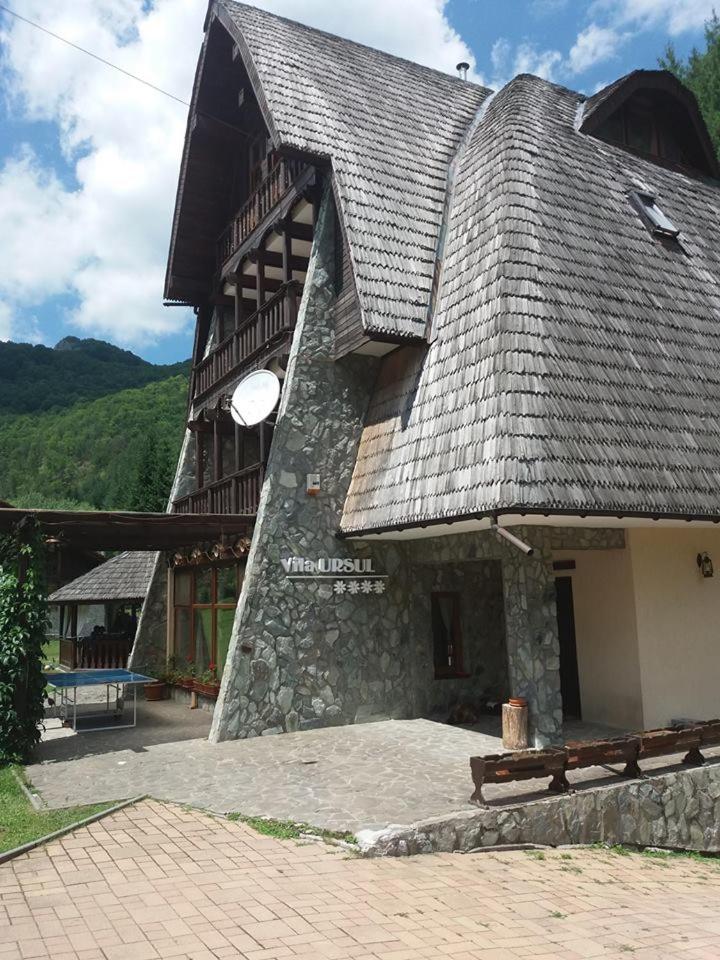 Vila Ursul - Romania