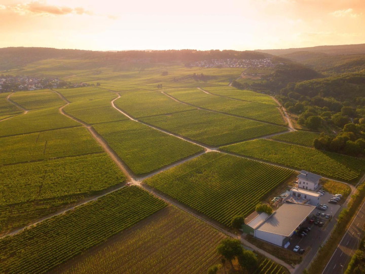 Ferienwohnung In Den Weinbergen Weingut Sohns - Oestrich-Winkel
