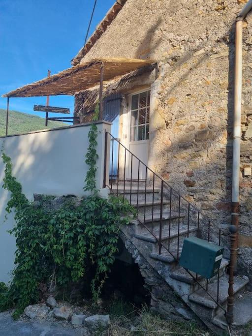Gîte De La Tourterelle - Languedoc-Roussillon