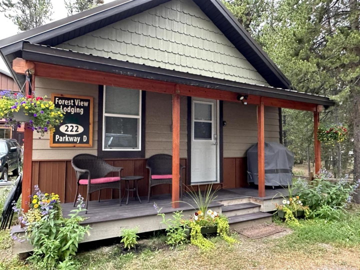Forest View Cabin - West Yellowstone, MT