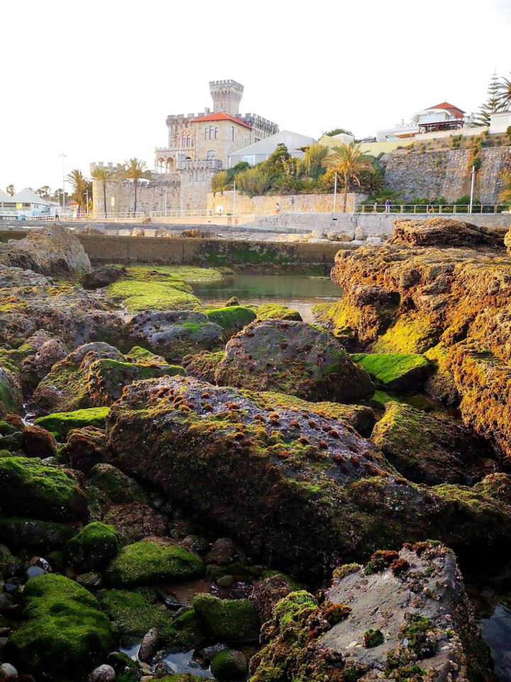 Pateo Estoril - Brand New Villa In Estoril - Sintra