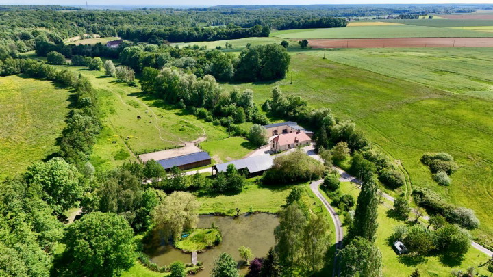 Domaine Le Petit Moulin - Marne