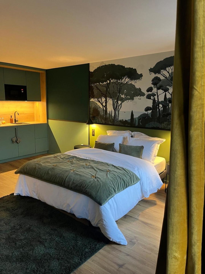 Studios Et Appartement Meublé De Tourisme - Altkirch