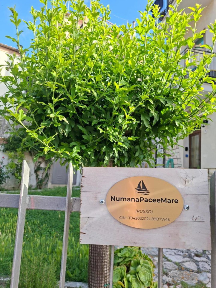Numanapaceemare - Sirolo