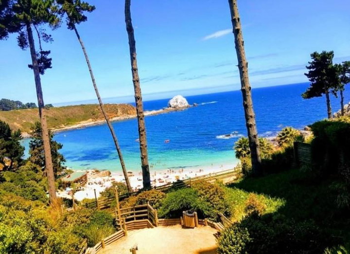 Pinares Del Canelillo, Algarrobo, Chile - Algarrobo