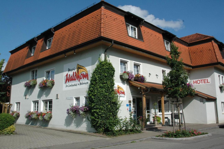 Mayers Waldhorn - Zwischen Reutlingen Und Tübingen - Tübingen