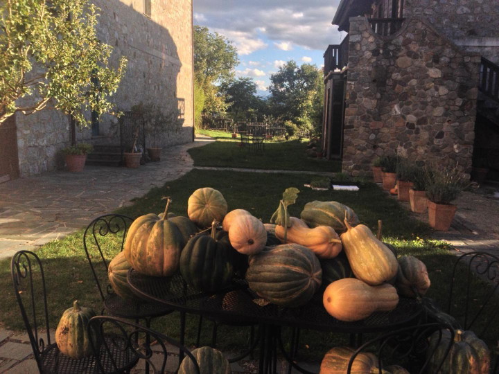 Azienda Agricola Il Querceto - Basilicata