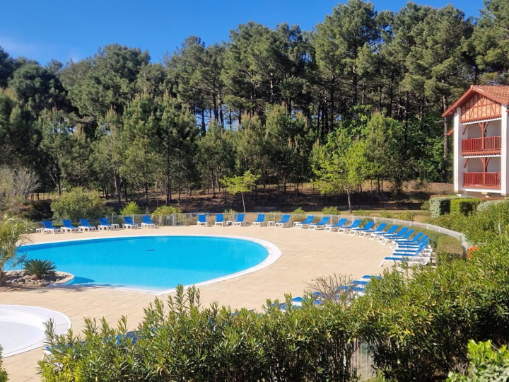 Appartement Cosy Sous Pinède Lac De Biscarrosse Rénové Wifi - Sanguinet