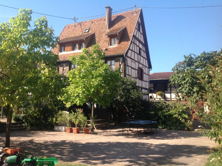 La Cour Zaepffel - Sélestat