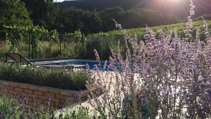 Cottage With Private Swimming Pool - Tschechien