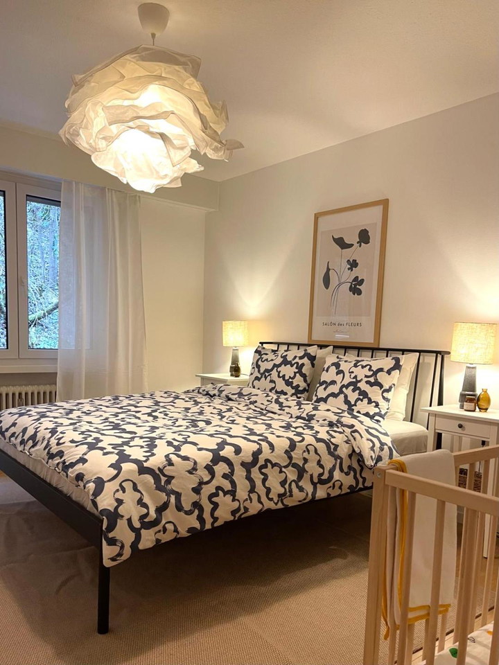 New Renovated 2br City Apartment - Lucerne