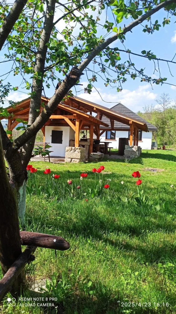Casa Livada Bunicii - Slănic Moldova