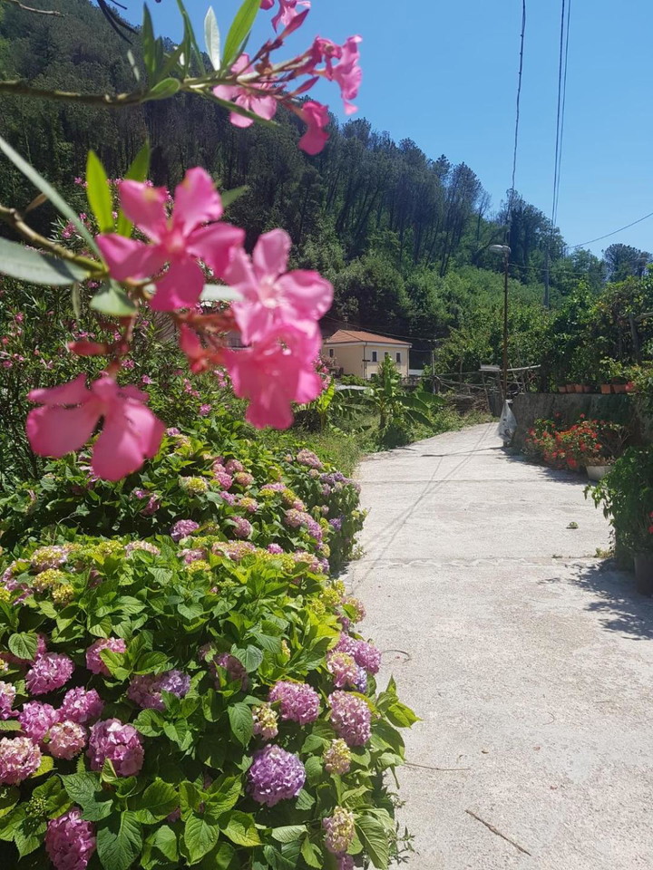Casa Nonna Anna - Maiori