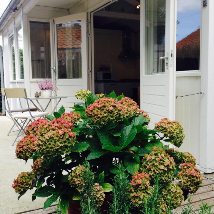 Tiny House Madame Jeanette Nabij Centrum En Zee - Zandvoort