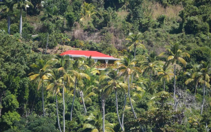 Mango Lodge Villa - Dominica