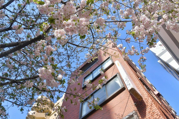 Sunrisestay Asakusa Kaminarimon-dori浅草商业街 雷门通 - Ginza