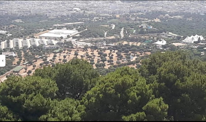 Trullo Dell'immacolata - Casa Vacanze Gestita Da Suore - Fasano