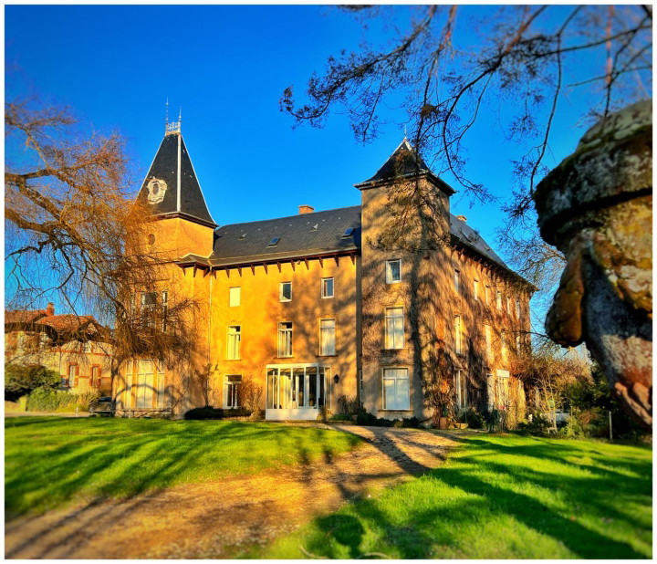 Château De Logne Au Coeur De La Moselle - Thionville