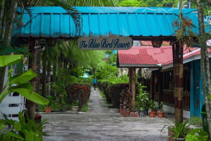 Blue Bird Resort - Havelock island (Swaraj Dweep)