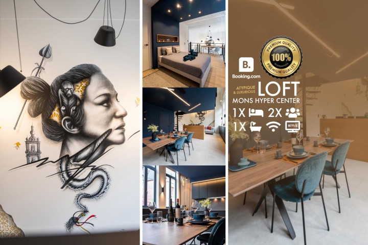 Atypique Loft Mons City Center - Mons