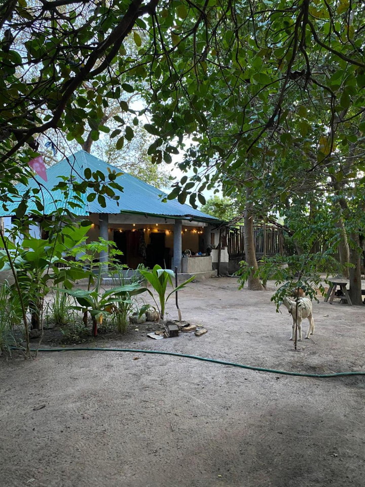 Bush Baby Compound - 甘比亞