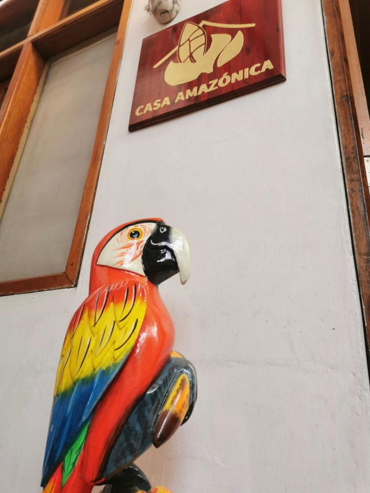 Hospedaje Casa Amazónica Iquitos - Iquitos