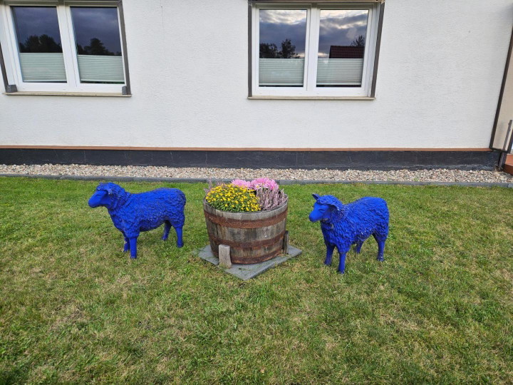 Ferienwohnung Zu Den Blauen Schafen - Rheinsberg