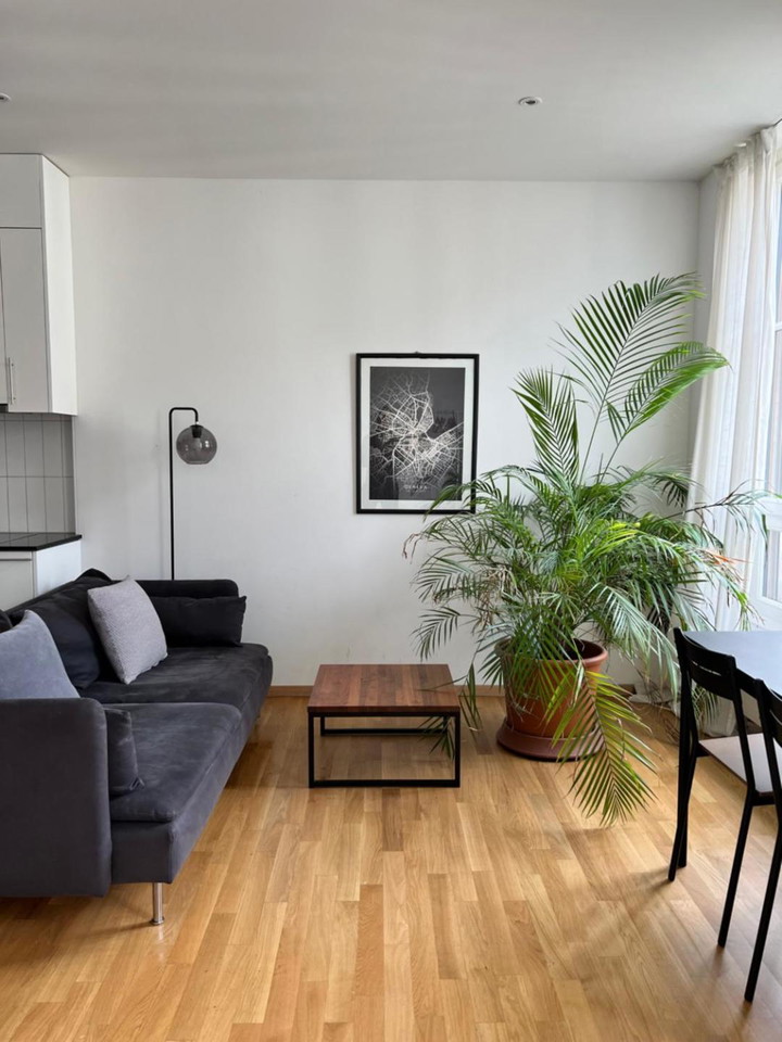 Luxury Apartment In Central Geneva - Genève