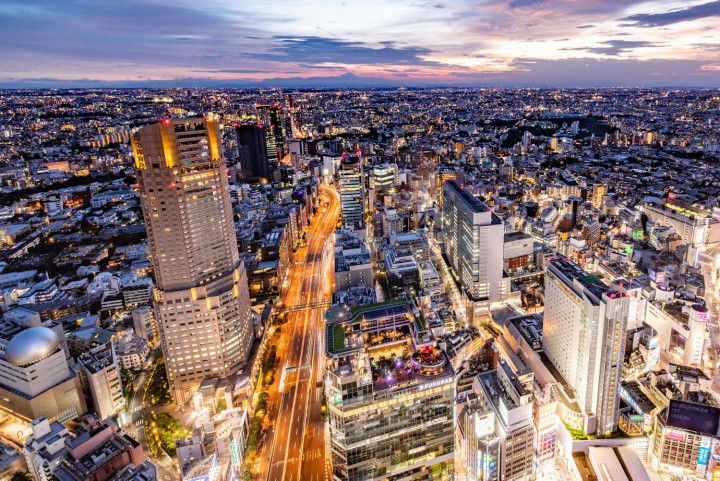 Cerulean Tower Tokyu Hotel, A Pan Pacific Partner Hotel - Shinjuku