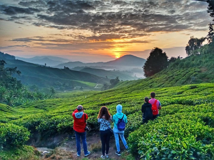 100 Oastel Coliving - Cameron Highlands