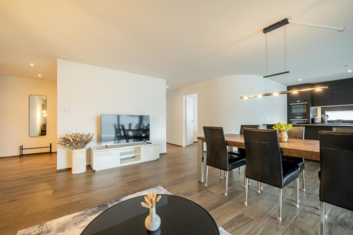 Swiss Suites - Menziken - Canton d'Argovie