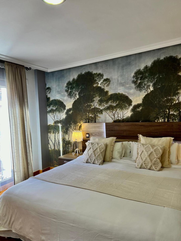 Apartamentos San Antonio - Aranda de Duero