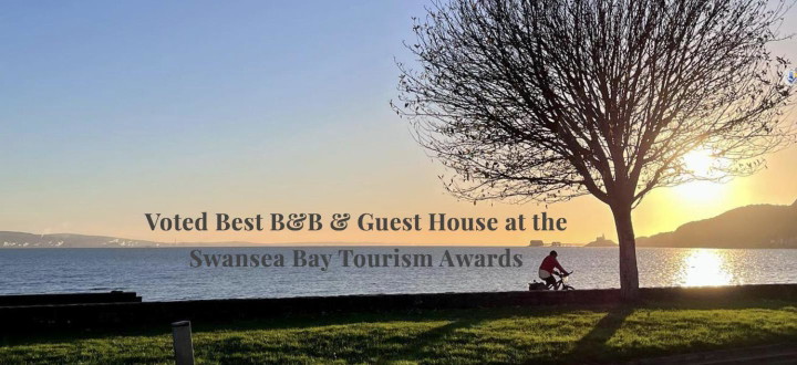 Tides Reach Guest House - Llanelli