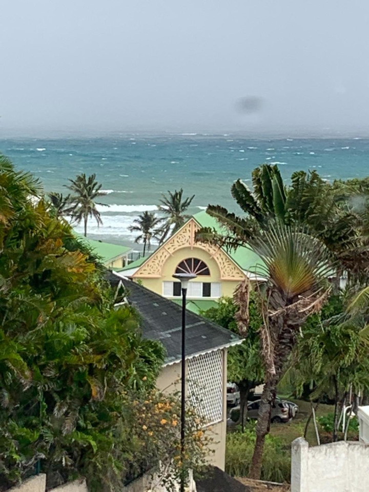 Flamboyant St Francois - Guadeloupe