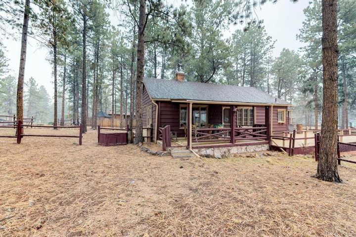Big Bear Cabin - Woodland Park, CO