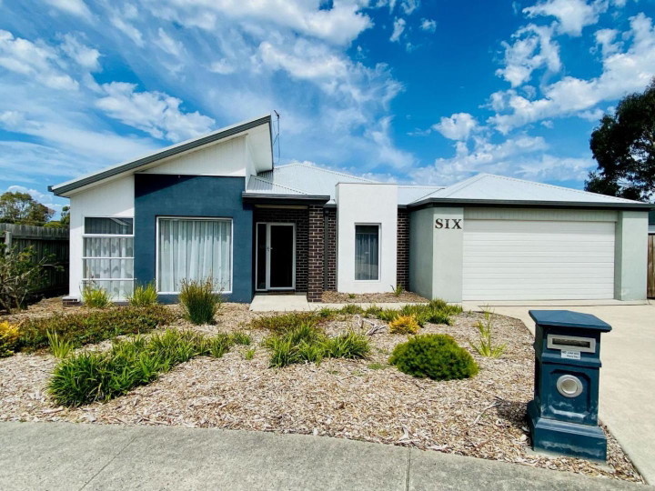 Goodenia Vibes - Inverloch