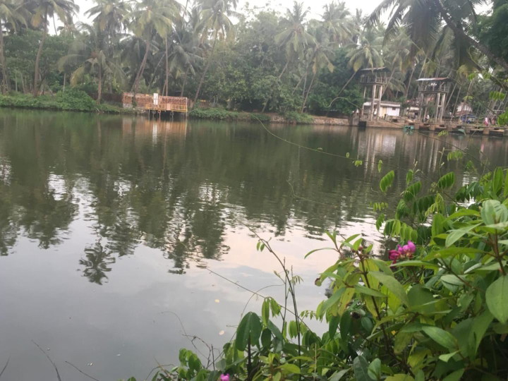 Peaceful Perch - Kozhikode