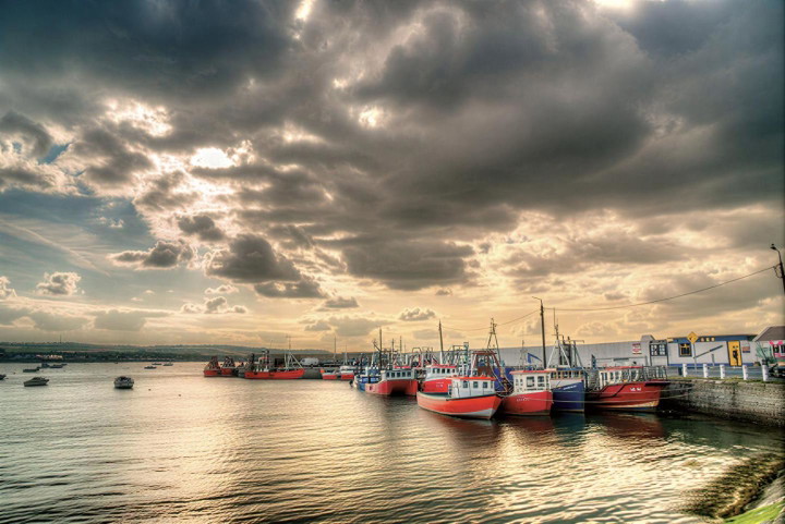 The Captains Wheel - Balbriggan