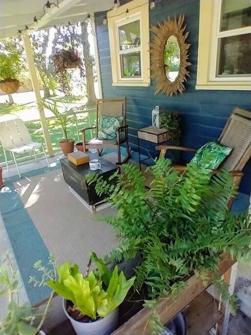Gingerbird Art Suite - Laurel, MS