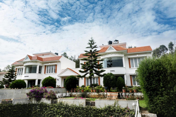 Twin Tree - Coonoor