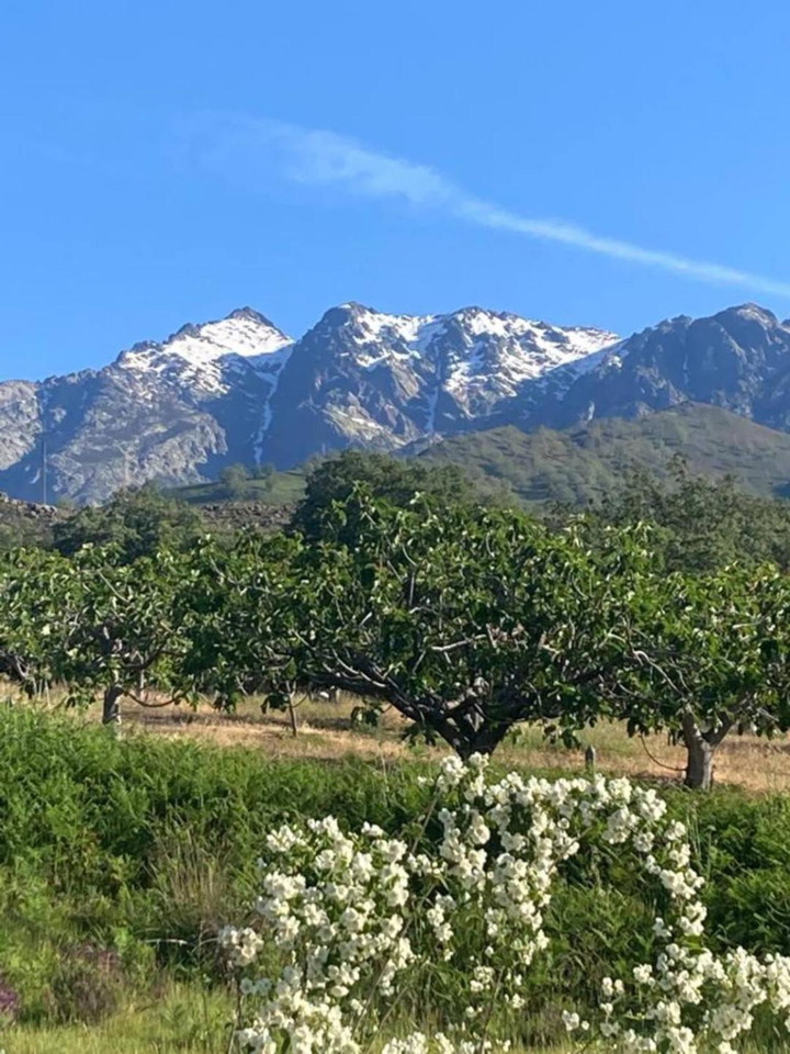 Mirada A Gredos - Hiszpania