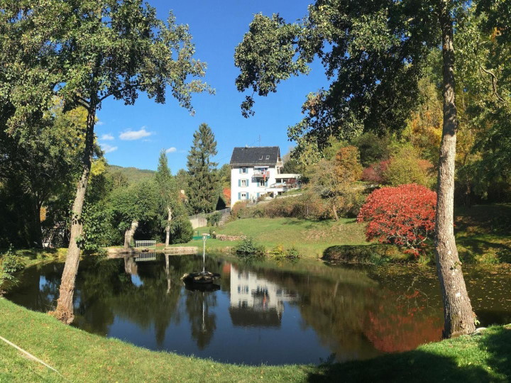 Appartements Maison Bellevue - Alsace