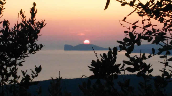 Il Giardino Degli Iris - Alghero