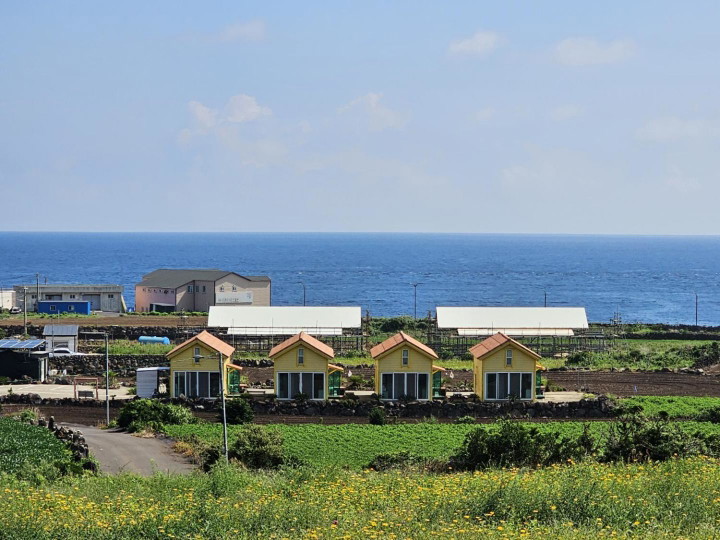 Udo Sunflower Pension - Jeju-si
