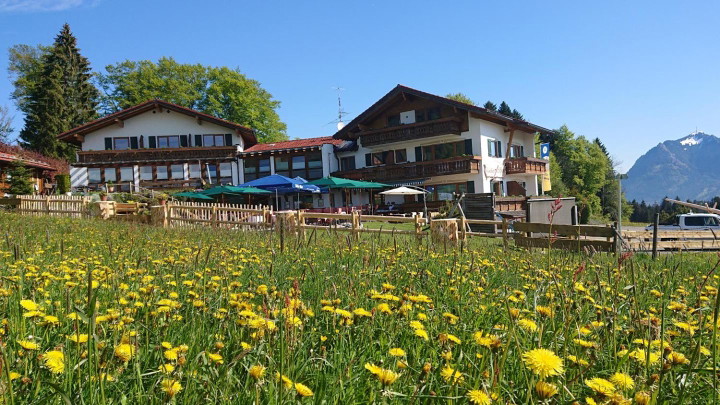 Landhotel Alphorn - Immenstadt