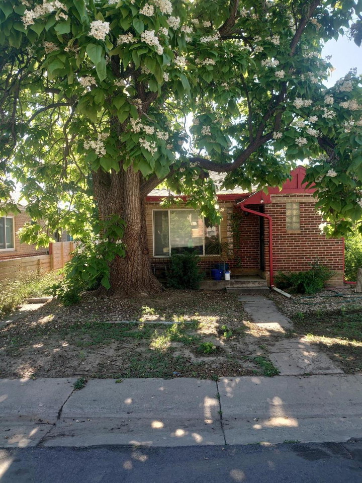 Comfortable Stay In Denver - Denver, CO