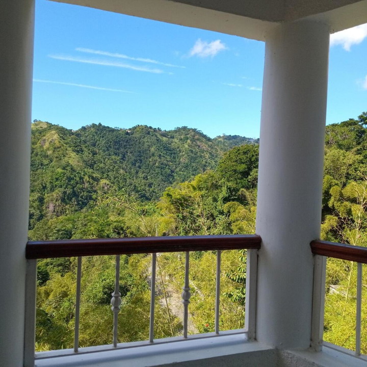 Gorgeous 1 Bedroom Apartment In The Kingston Hills - Jamaïque