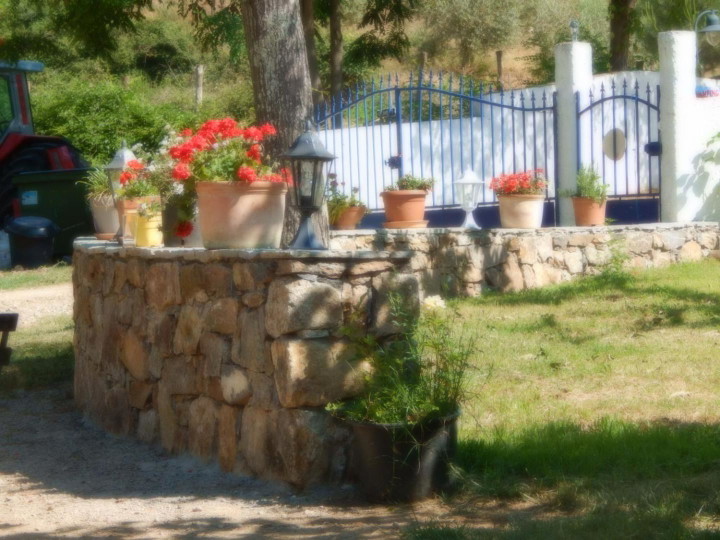 Ernella - Haute-Corse