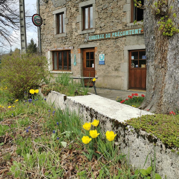 Auberge Du Précontent - Allier
